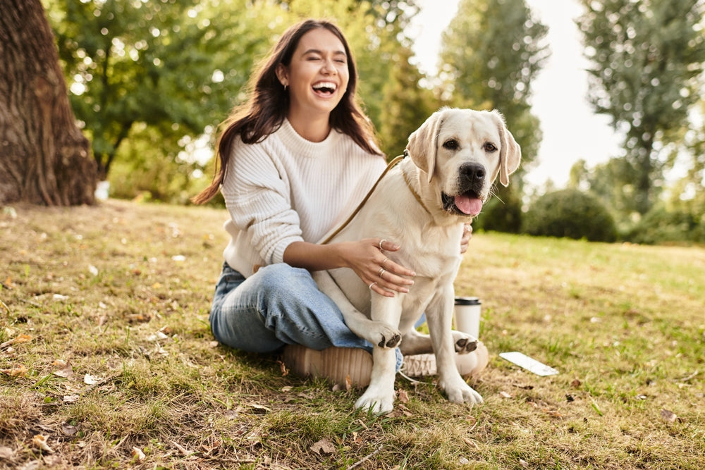 Why Is My Dog Coughing? Recognizing Symptoms of Kennel Cough and Other ...