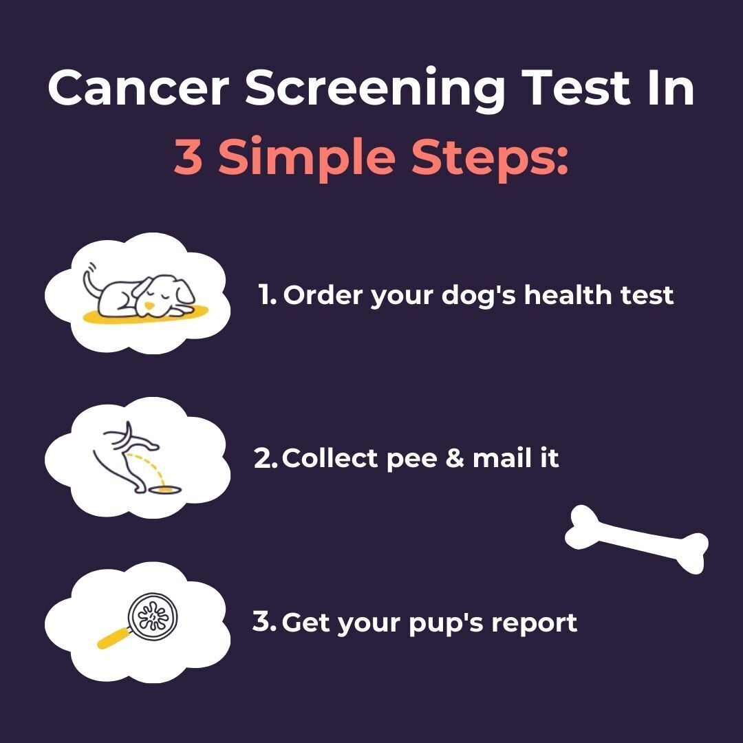 At-Home Dog Cancer Screening Test by Oncotect, Fast & Accurate Results ...