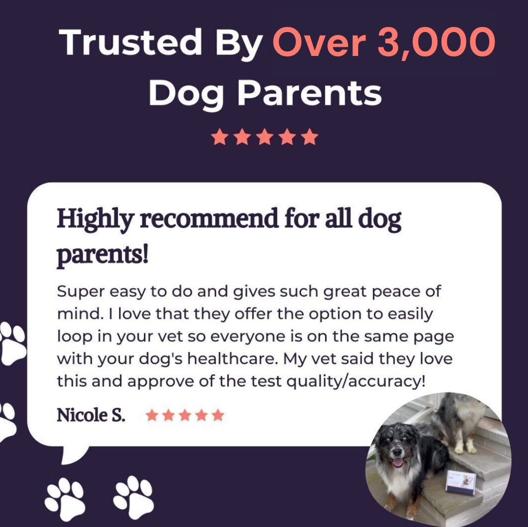 At-Home Dog Cancer Screening Test by Oncotect, Fast & Accurate Results ...